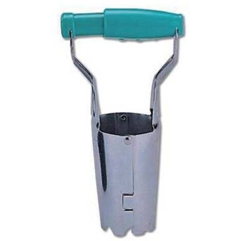 PIANTA BULBO ALLARGABILE STARS