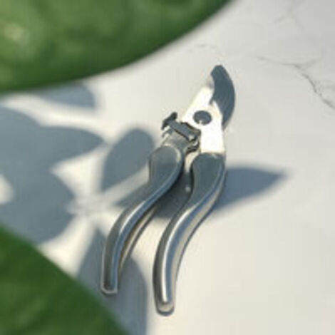 AlwaysH Professional Stainless Steel Secateurs, 210mm