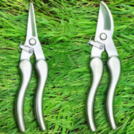 AlwaysH Professional Stainless Steel Secateurs, 210mm