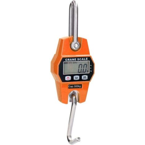 AlwaysH Heavy Lifting Scale For Hook Crane, 300 Kg
