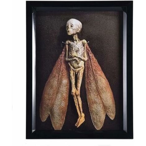 AlwaysHCursed Items Dead Fairy Shadow Box Display Handmade Creepy ...