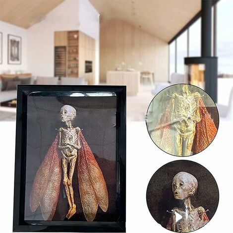 AlwaysHCursed Items Dead Fairy Shadow Box Display Handmade Creepy ...