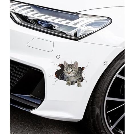 AlwaysH 3D Car Stickers Cute Cat Stickers Animal Theme Wall Stickers ...