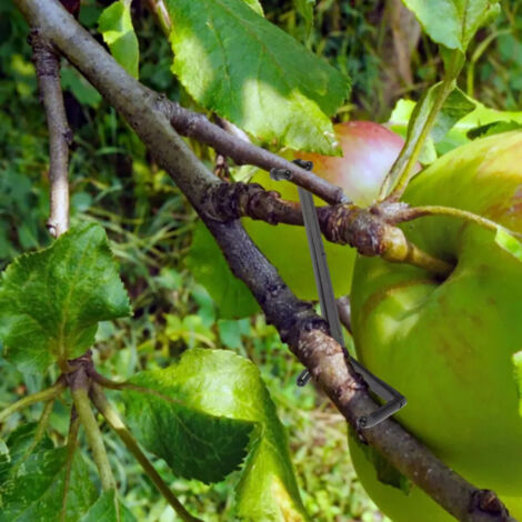 AlwaysH 20 Pieces Fruit Tree Branch Spreader Plant Branch Trainer Plant ...