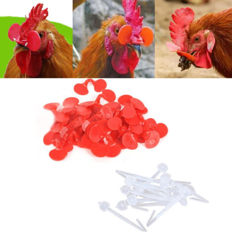 AlwaysH 100 Pieces Anti-Pecking Chicken Blinders for Poultry Pheasant ...