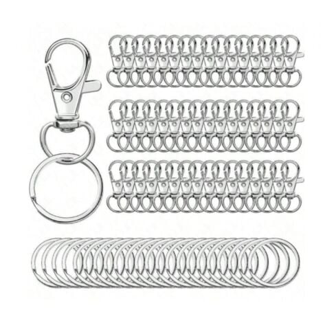 AlwaysH 50 Pieces Metal Carabiner Keychain Rings, Key Ring Clip ...