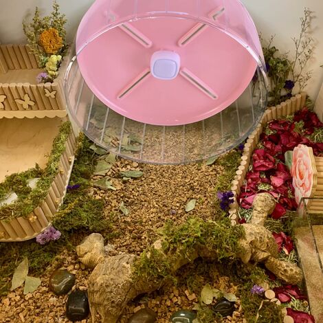 26 cm Hamsterrad, superleises Hamsterrad mit verstellbarem Ständer for ...