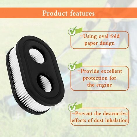 Filtre à air pour moteurs de la série Briggs & Stratton 550E 550EX 798452 593260 Pièces