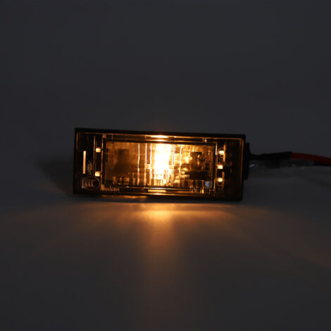 TONYSA Plaque d'immatriculation 8200480127 Remplacement de la lampe à ...