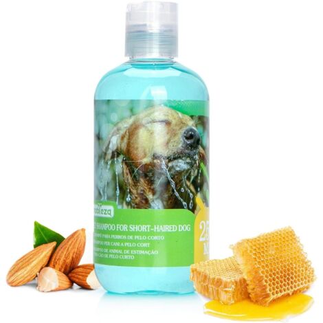 Shampoing pour chien contre les démangeaisons pour chiens à poils ...