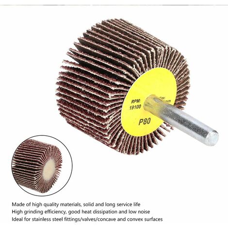 10pcs Roues à Feuillets Abrasif Meule de Polissage Disque de Meule à ...