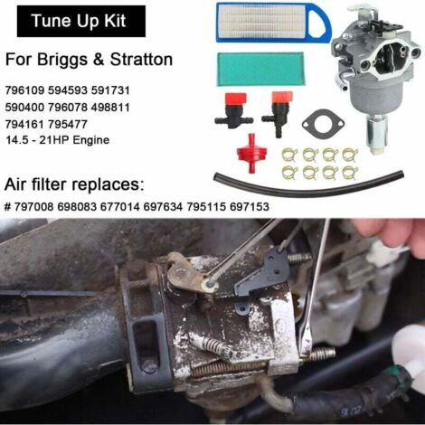 Carburateur pour Briggs & Stratton 594593 591731 590400 796078 498811 ...