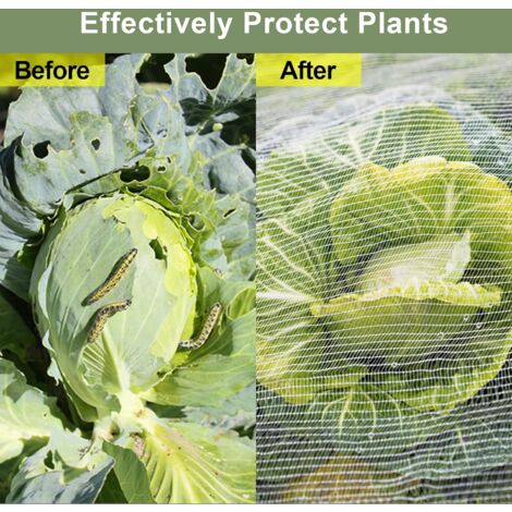 3X4M Filet Anti Insecte Filet de Jardin Filet de Protection en Maille ...