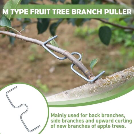 Lot de 30 écarteurs de branches d'arbre fruitier, support pour branches ...