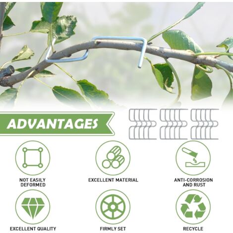 Lot de 30 écarteurs de branches d'arbre fruitier, support pour branches ...