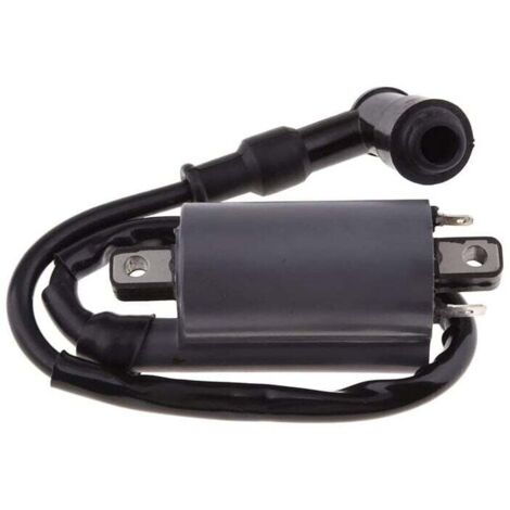 Bobine d'allumage pour Buyang 260 260cc 300cc D300 G300 Motor