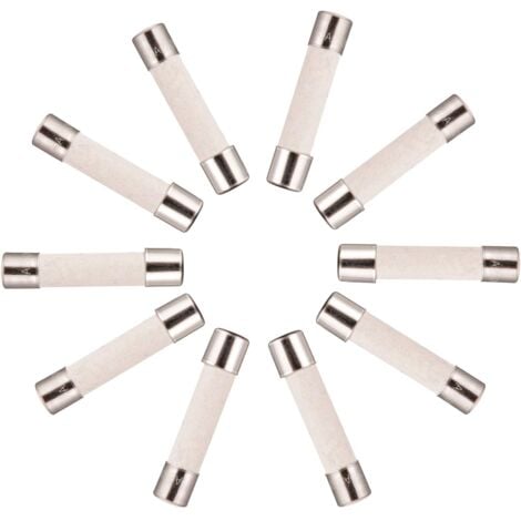 10x Fusible Temporisé (T) en céramique 10A / 250VAC 5x20mm