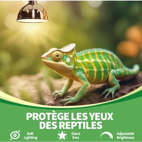 E27 lampe chauffante terrarium, 80W UVA UVB ampoule chauffante ...