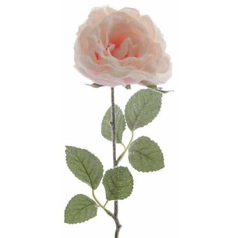 Rosa stelo singolo rosa con neve