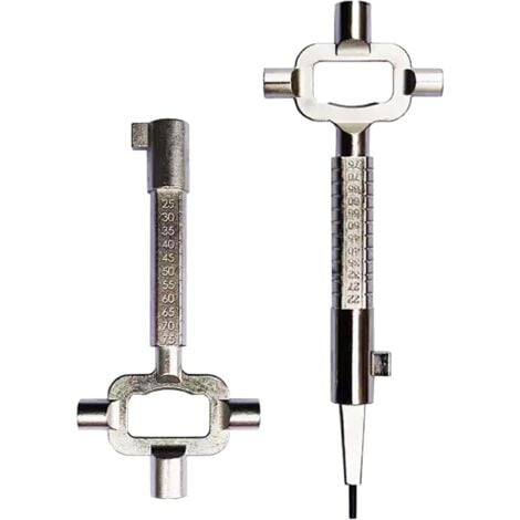 AHLSEN Lot de 2 clés d'armoires électriques - Clé de construction - Clé ...