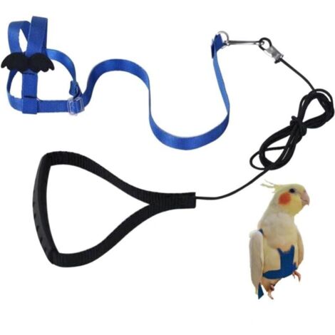 Adjustable Parrot Leash, Anti-Bite Harness, Elastic Bird Leash for ...