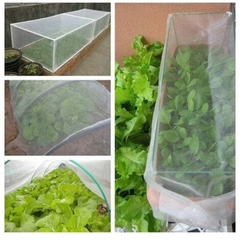Garden Insect Netting Vegetable Garden Insect Netting Garden Insect ...