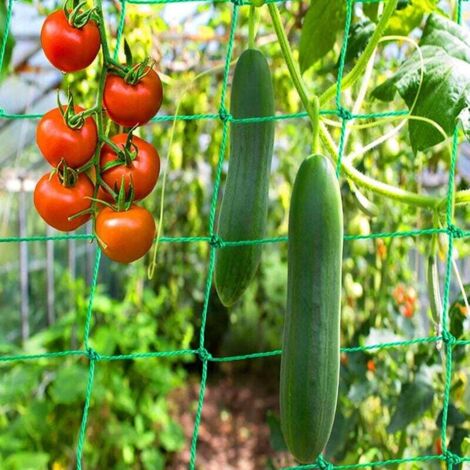 Garden Netting, Protective Netting for Vegetables, Fruits, Plants and ...