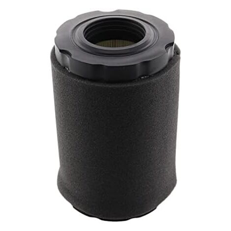 Filtre à air avec préfiltre pour Briggs & Stratton 796031 594201 590825 ...
