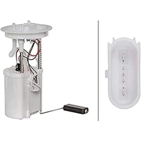 105043401 105282901 Ensemble pompe à carburant Delphi version ...