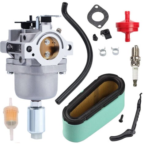 Carburateur pour Moteurs Briggs & Stratton 287707 287776 287777 310707 ...