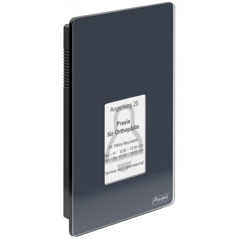 Auerswald TFS-Dialog 400 terminal contrôle d'accès anthracite