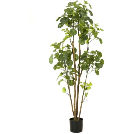 Polyscias artificial con maceta 160 cm Emerald