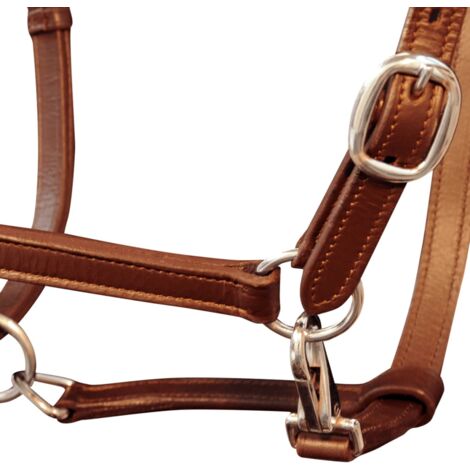 Ronzal/Cabestro de Cuero Marrón Ajustable Para Caballo (Estándar) vidaXL