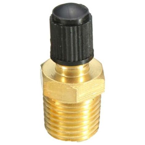 1/4" Npt Tank Valve Anti-corrosion Brass Schrader Valve With 1/4" Male Npt