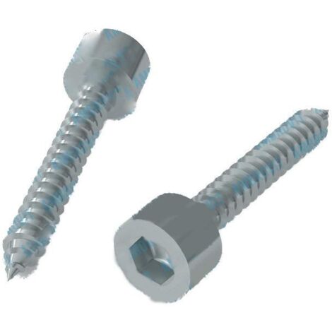 VITE AUTOFILETTANTE TCEI mm. 4,8x70