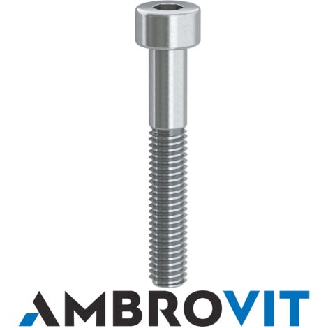 VITE TCEI mm.10x100 DIN912 UNI5931 8.8