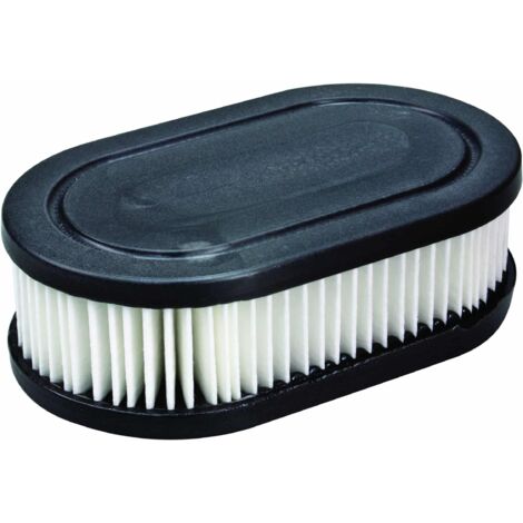 Filtre à air BRIGGS ET STRATTON 798452