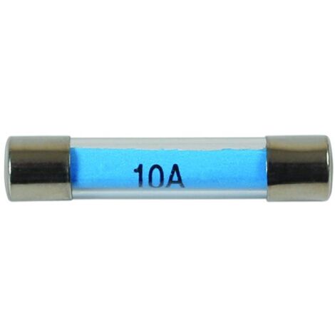 Connect Glass Auto Fuses 10A 100pc 30496
