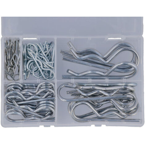 Connect Assorted R Clips 75pc 31899