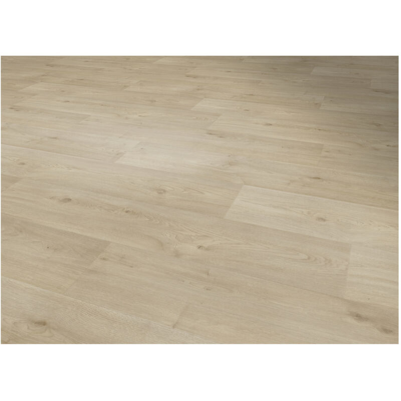 Décotex Trafic 4204 4m - Decorama