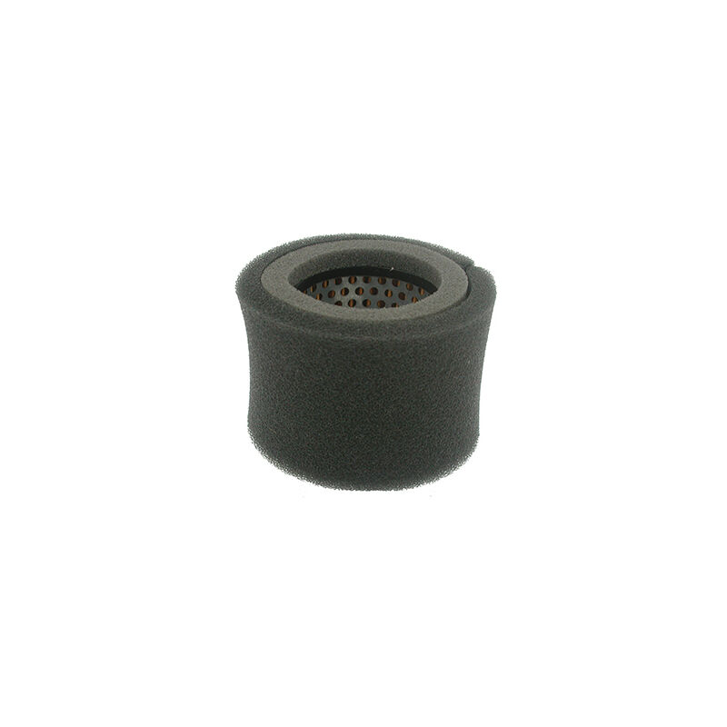 Filtre à Air Adaptable Pour Robin Ec10, Ec12, Ey10 & Ez08 .remplace ...