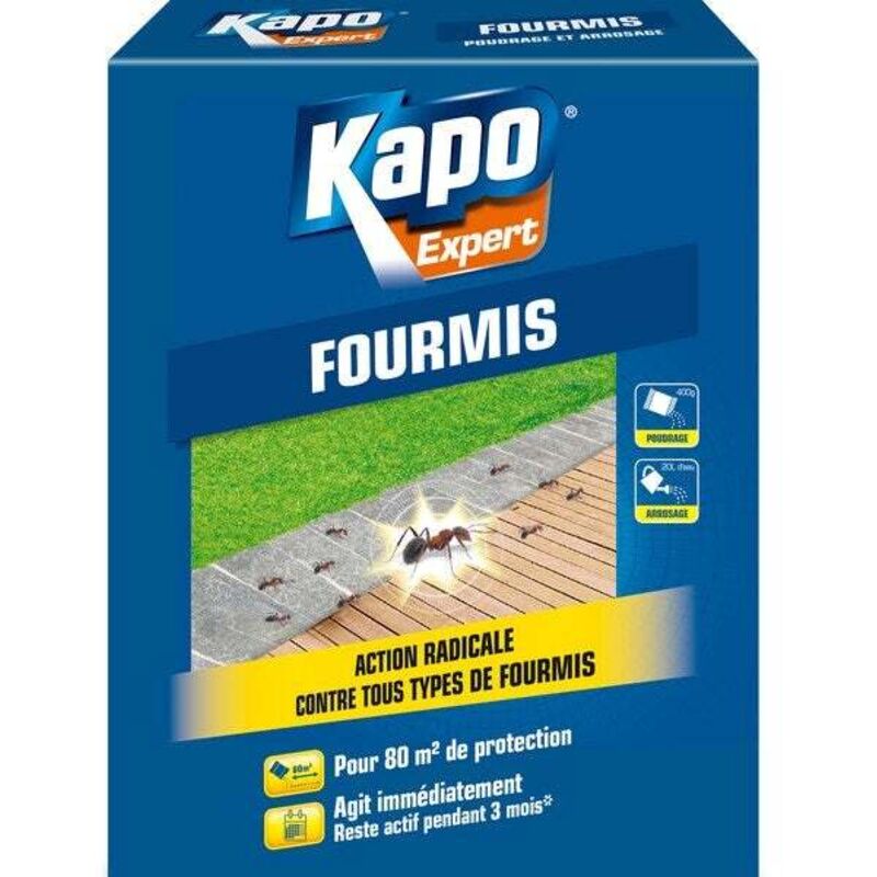 Piège À Fourmis Maison | Ventana Blog