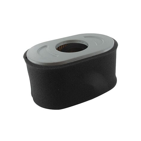 Filtre à Air Adaptable Briggs & Stratton Pour Moteurs Vanguard Mono ...