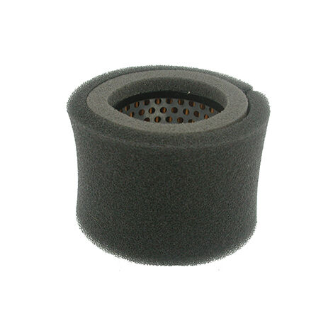 Filtre à Air Adaptable Pour Robin Ec10, Ec12, Ey10 & Ez08 .remplace ...