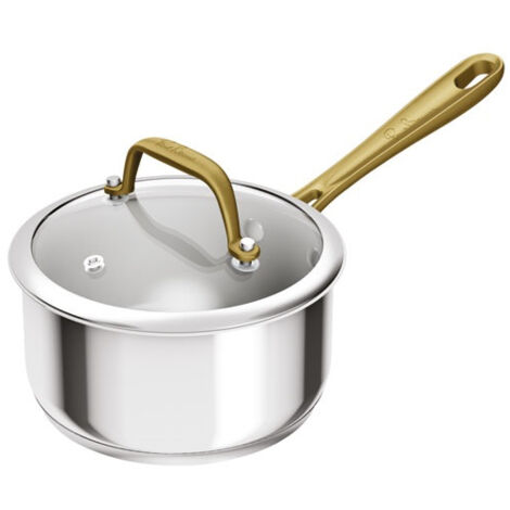 Paul Bocuse Casserole Inox 16cm+cv Verre - Gpe Seb France Tefal Menage