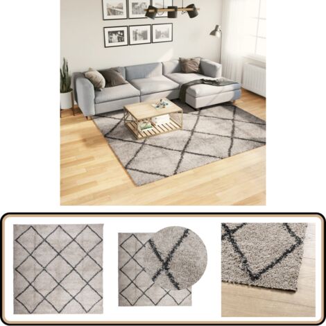Tapis shaggy à poils longs moderne beige anthracite 240x240 cm - Tapisshaggy - Tapis Moelleux ...