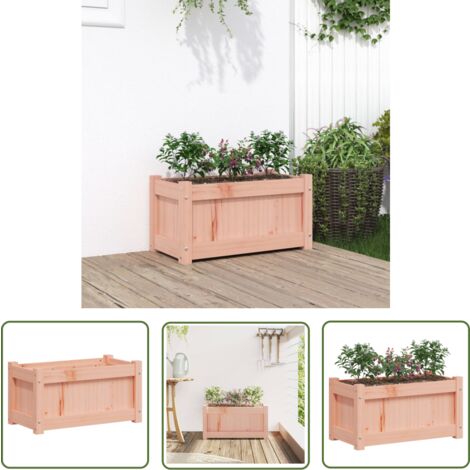 The Living Store Jardinière 60x31x31 cm bois massif douglas ...