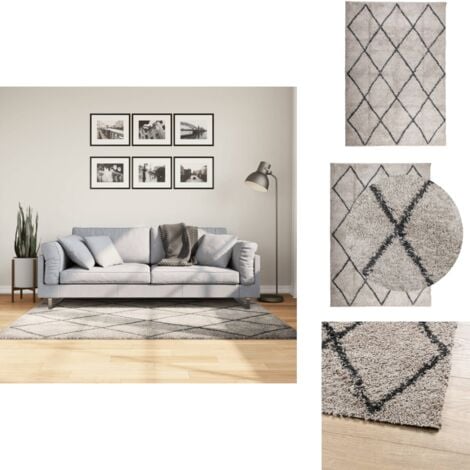 Tapis shaggy à poils longs moderne beige anthracite 120x170 cm - Tapis Shag - Tapis Long Poil ...
