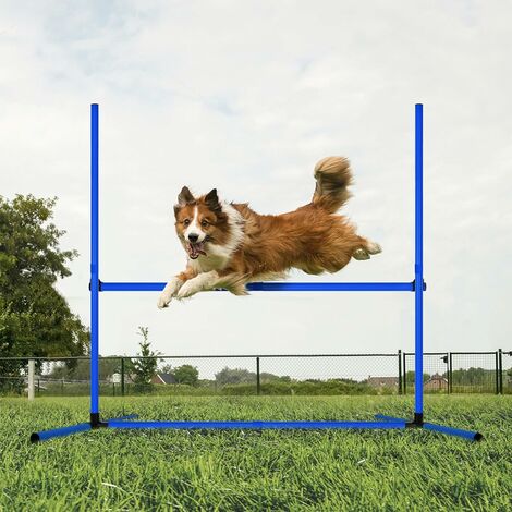 Agility Set Hunde Ausrüstungs 4 x Hürden Höhenverstellbar, Agility ...