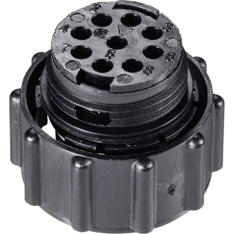 TE Connectivity 205842-1 Rundstecker Stecker, gerade Gesamtpolzahl: 63 ...